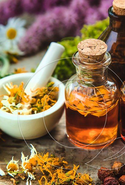 Qualma – Amor para la medicina es amor para la humanidad